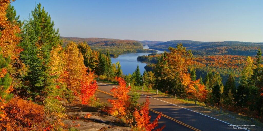 Parc National de la Mauricie | Activités | Le Gîte Le Grandelinois